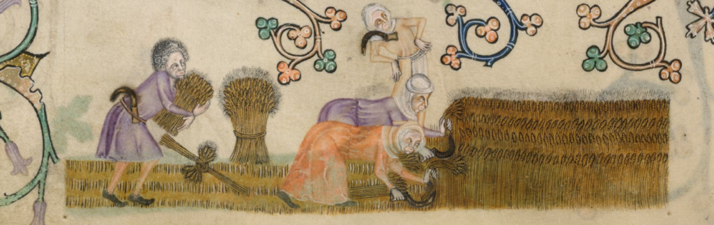 The Medieval Farming Year - The Penultimate HârnPage