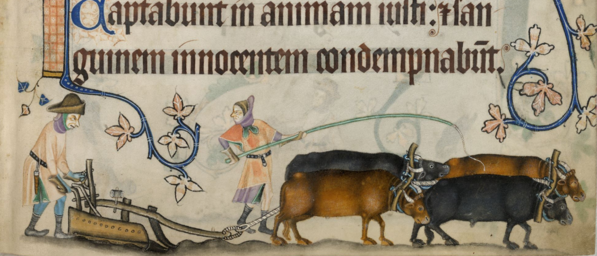 The Medieval Farming Year - The Penultimate HârnPage